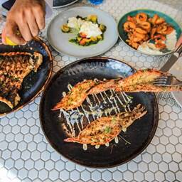 Your Guide to the Best Food in Dubai | Visit Dubai