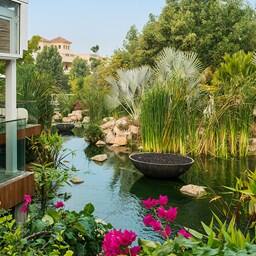 Al Barari Area Guide: The Farm Al Barari, Playground & More