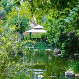 Al Barari Area Guide: The Farm Al Barari, Playground & More