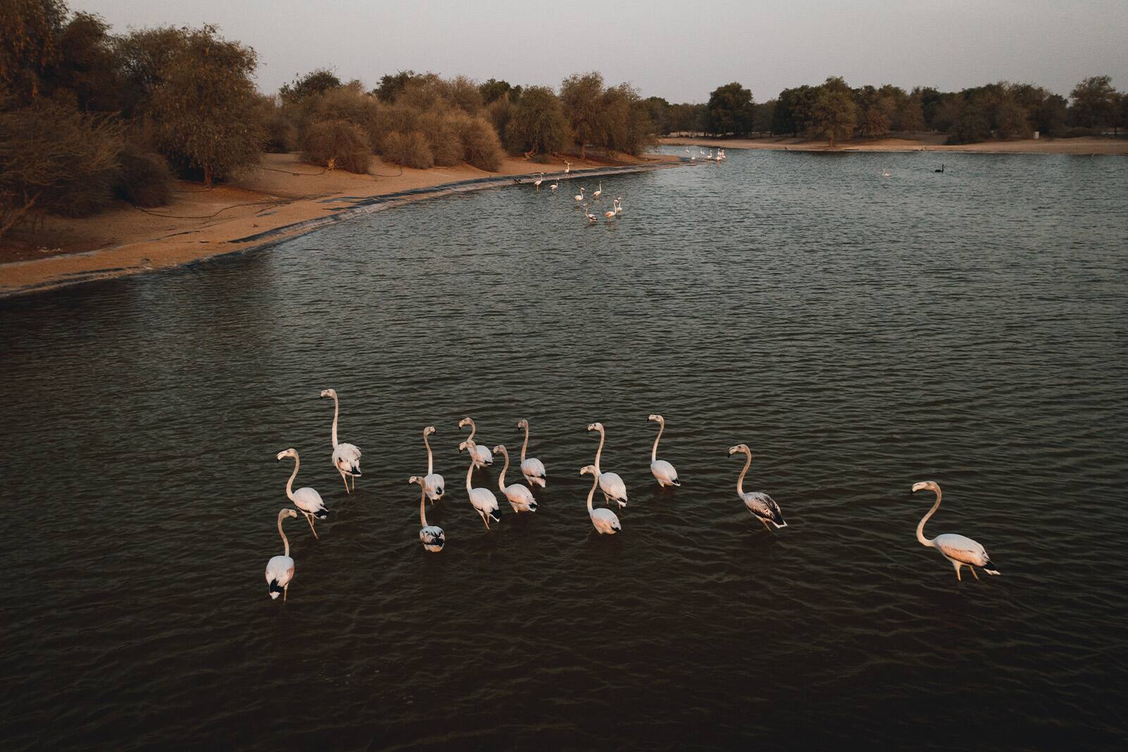 Reisefotograf Max Muench in Dubai | Visit Dubai