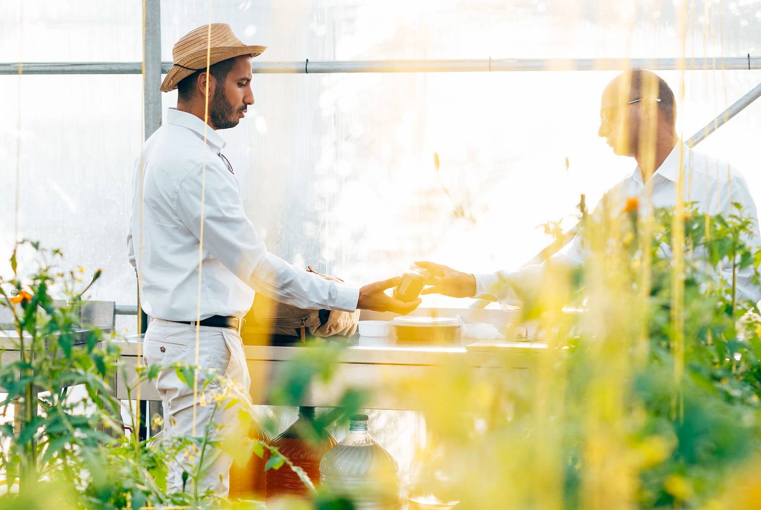 A Guide to Farms in Dubai | Visit Dubai