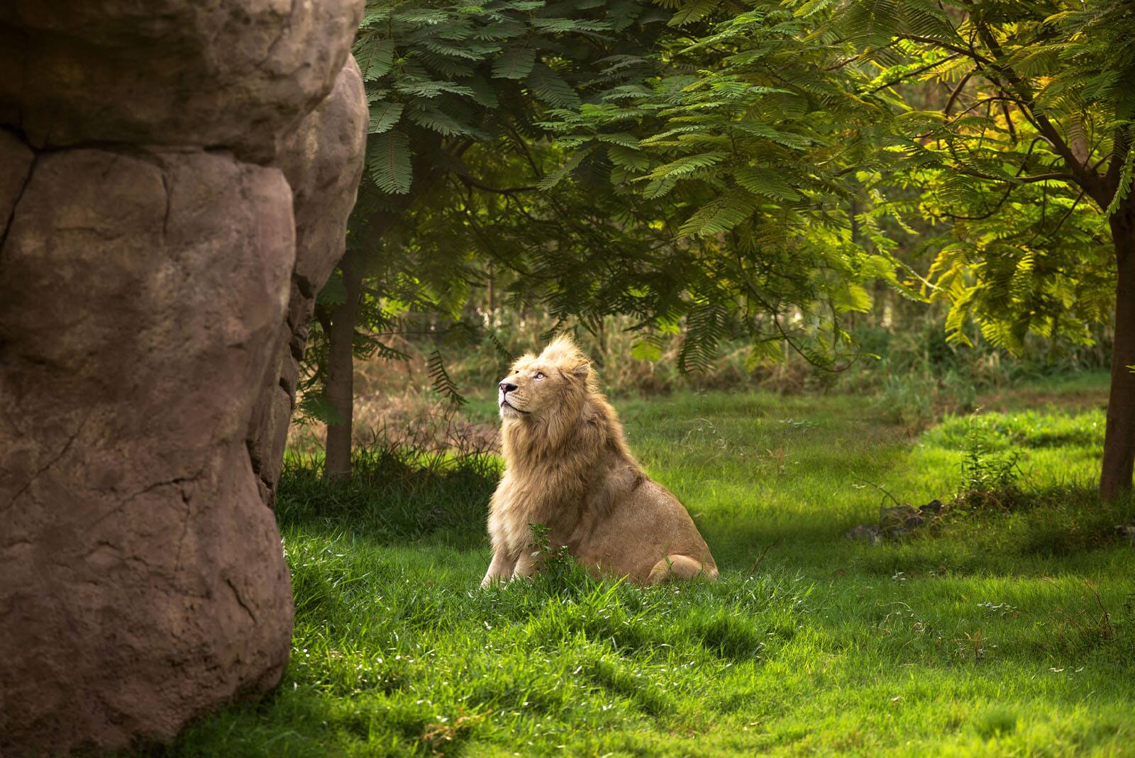 Weather in Dubai | Dubai Weather Guide | Visit Dubai