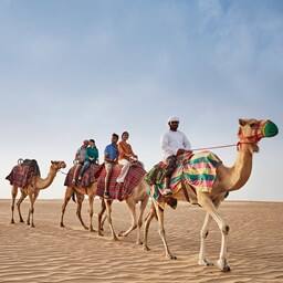 Things to Do in Al Marmoom Desert in Dubai | Visit Dubai