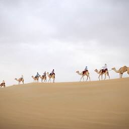 Things to do in Al Marmoom Desert in Dubai | Visit Dubai