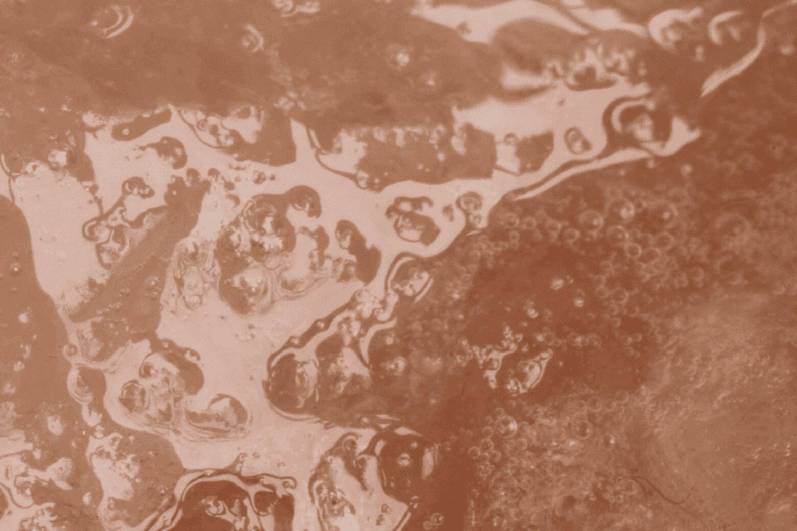 Exhibition: A Mirror in my Pocket I Visit Dubai