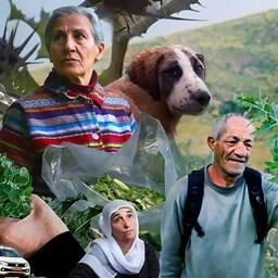Film Screening: Foragers | Visit Dubai