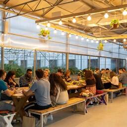 Emirates Bio Farm | Organic Farm in Dubai | Visit Dubai