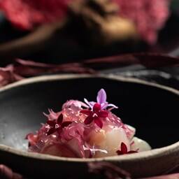 Nazcaa | Restaurants near Burj Khalifa| Visit Dubai