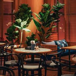 The Social House | Restaurant in Downtown Dubai | Visit Dubai