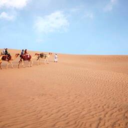 Explore Al Marmoom – Authentic Bedouin Culture & Desert Adventures